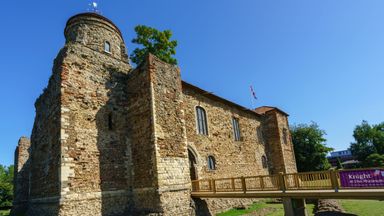 Allerton Oak in Liverpool named England's Tree of the Year | UK News ...