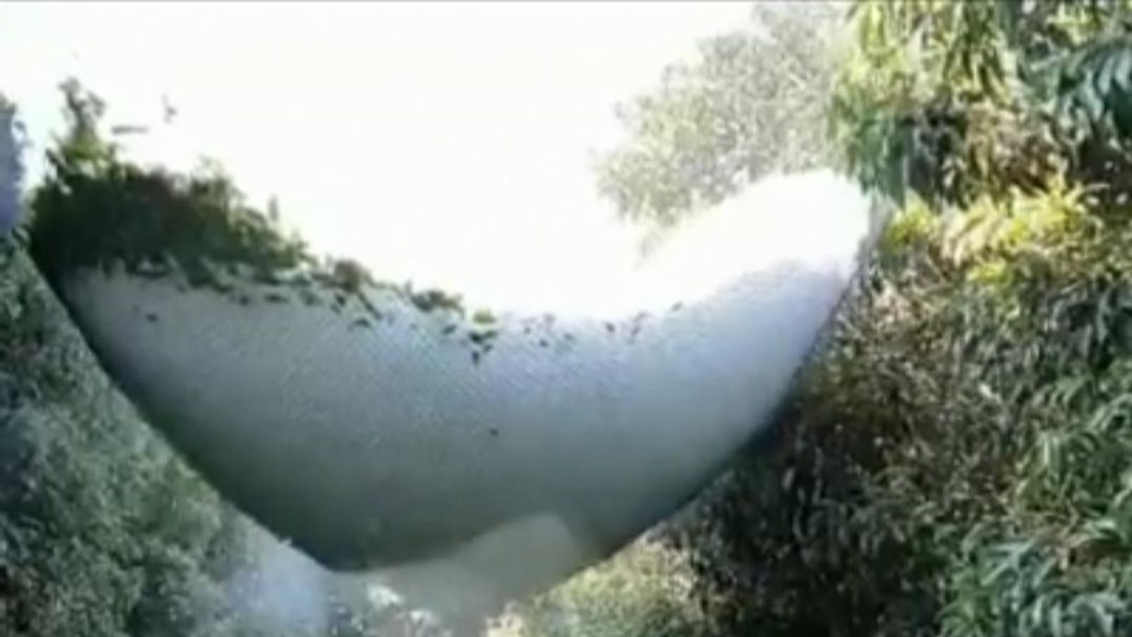 Hailstorm batters Australia: Nets filled with hail are cut loose ...
