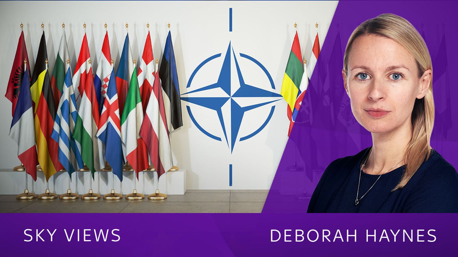 Sky Views: NATO is under strain, but it is not 'brain dead' as Macron said | World News | Sky News