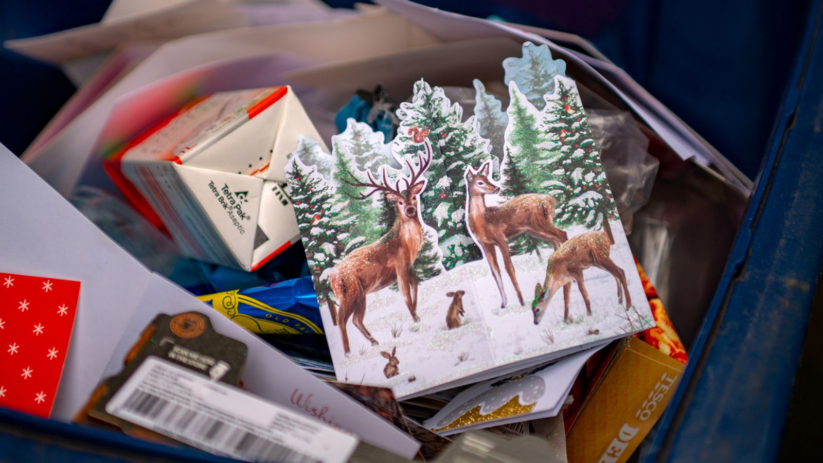 School bans children from sending Christmas cards to protect the ...