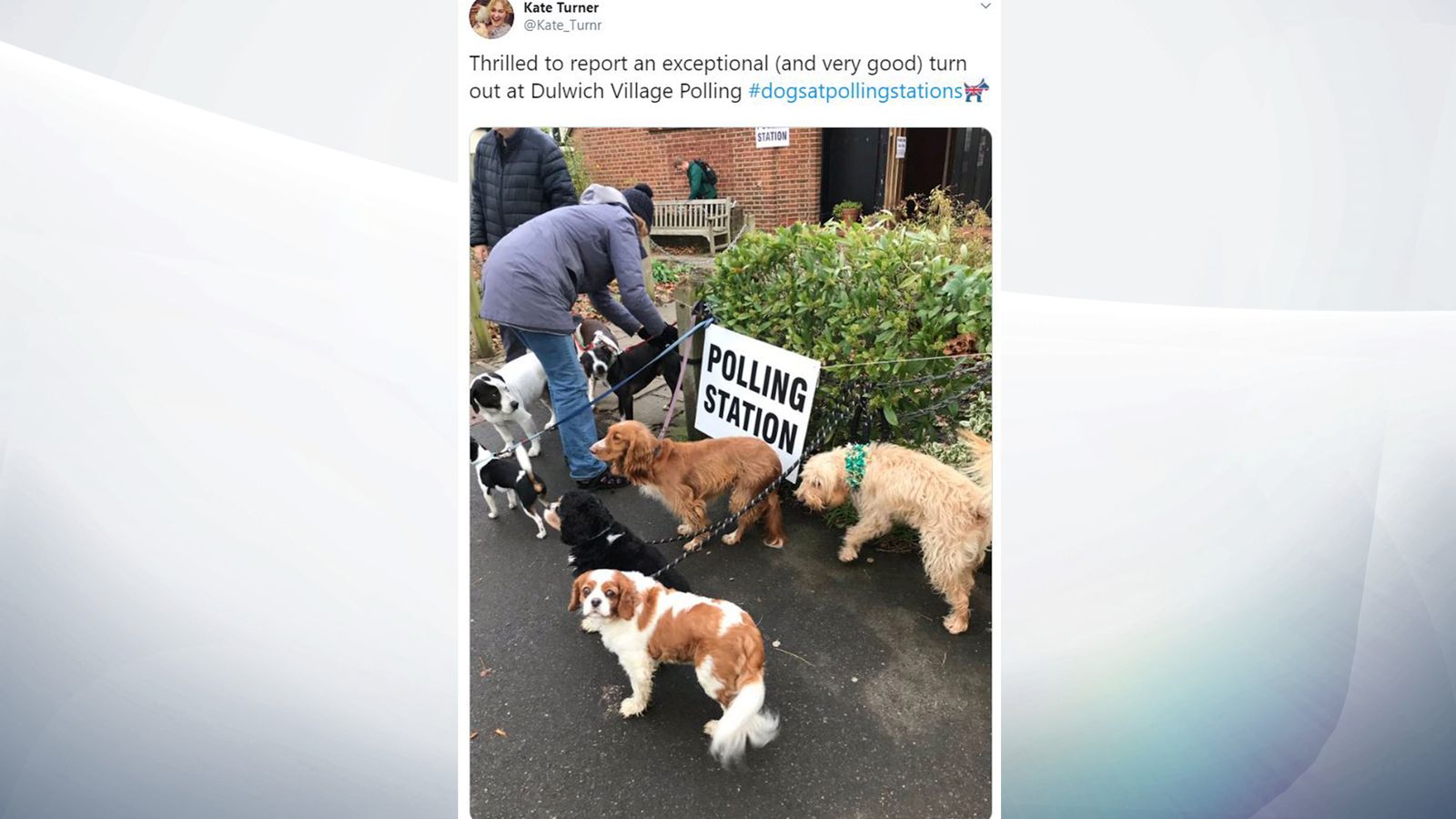 General Election gets paw-litical as voters snap their dogs at the ...