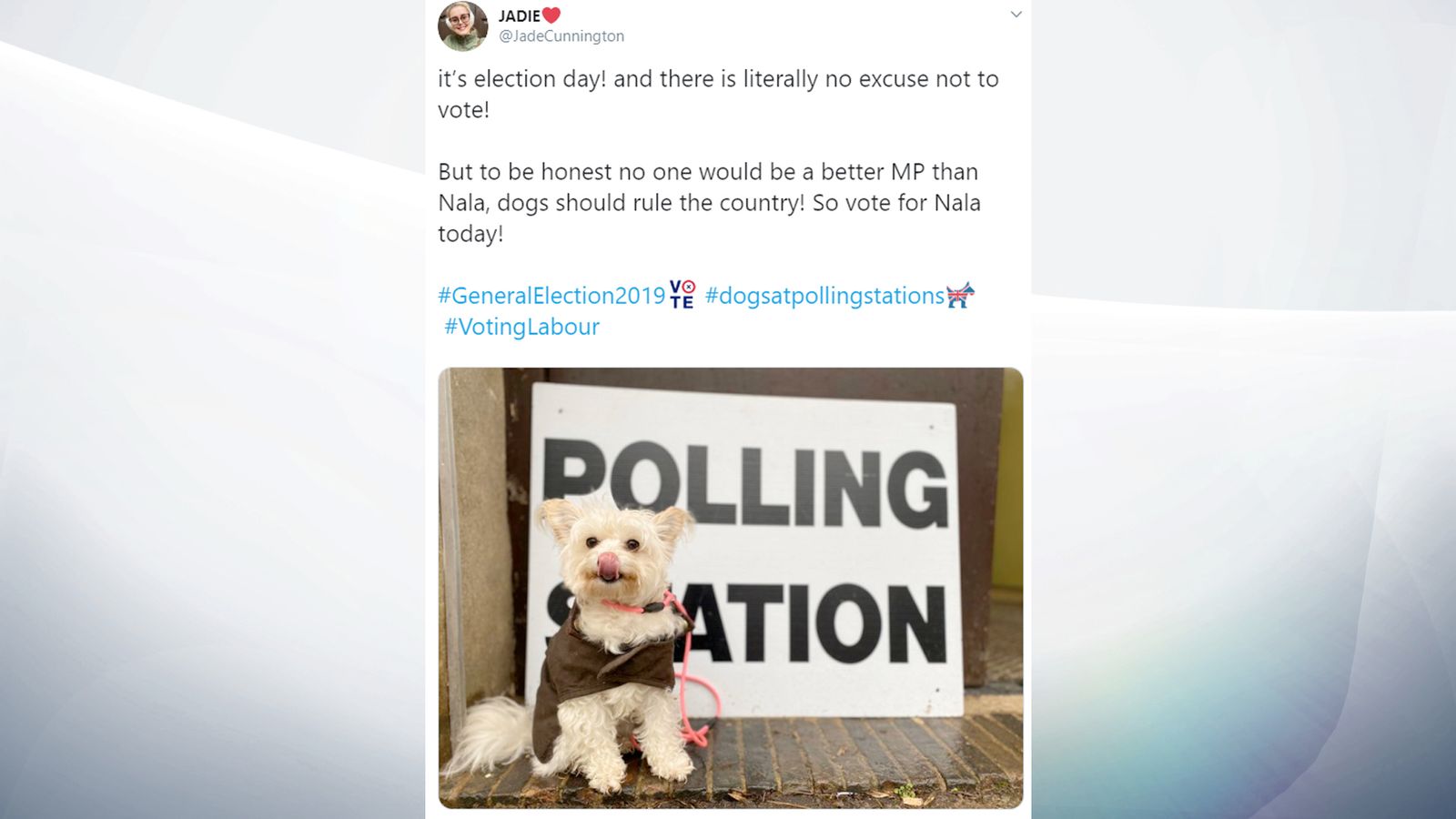 General Election gets paw-litical as voters snap their dogs at the ...
