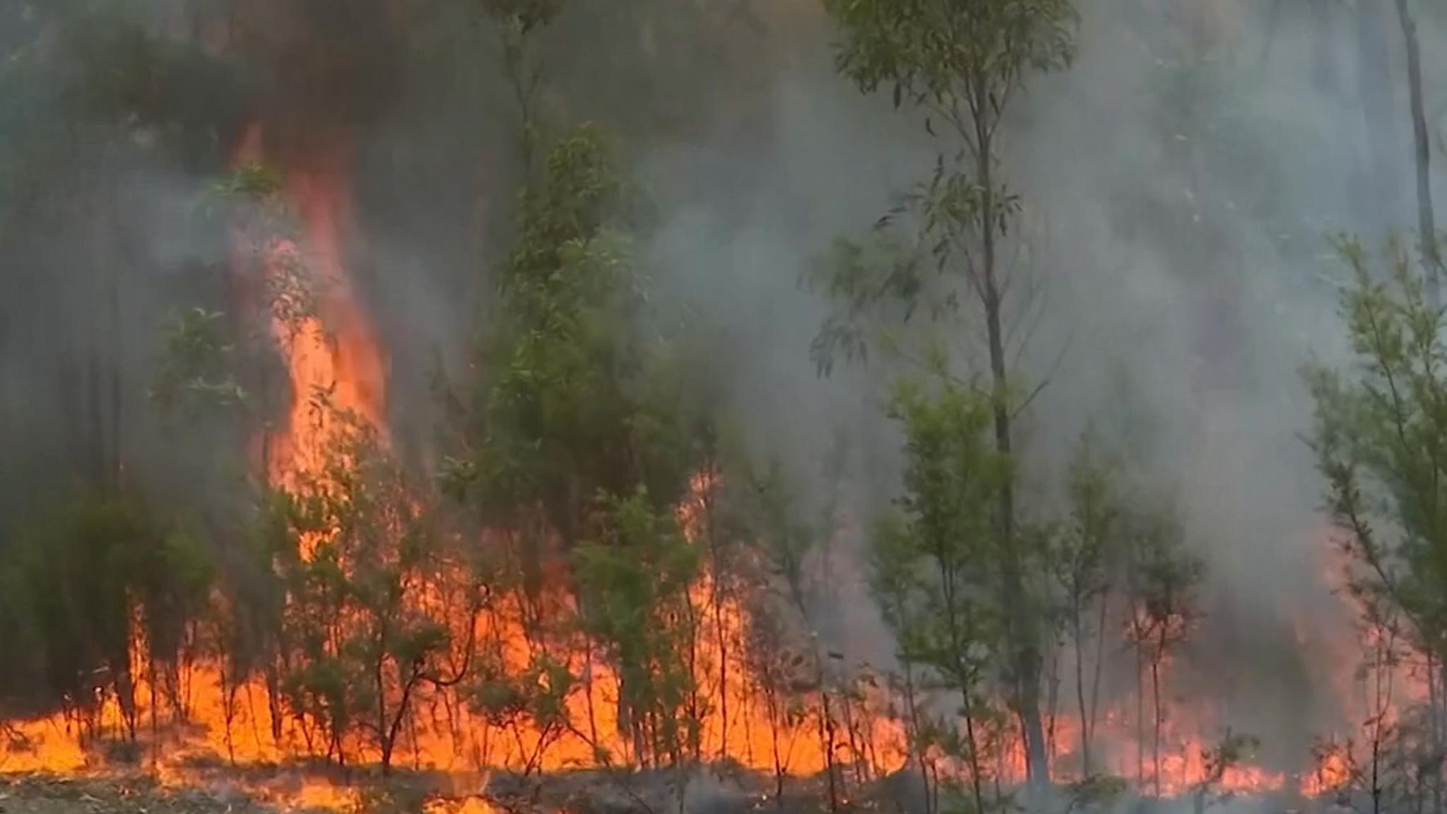 Australia bushfires: Meet the woman who has fed emergency teams for ...