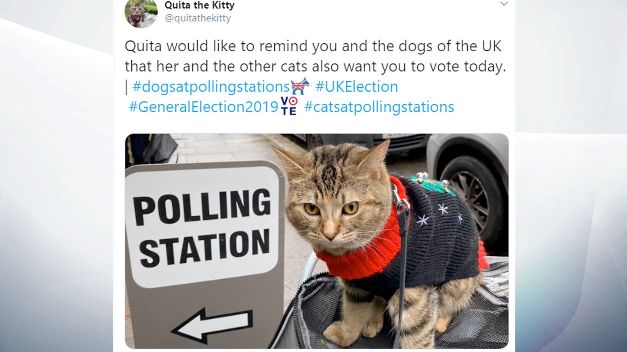 General Election gets paw-litical as voters snap their dogs at the ...