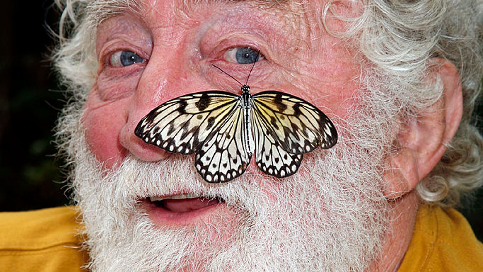 David Bellamy: Naturalist and broadcaster dies age 86 | UK News | Sky News