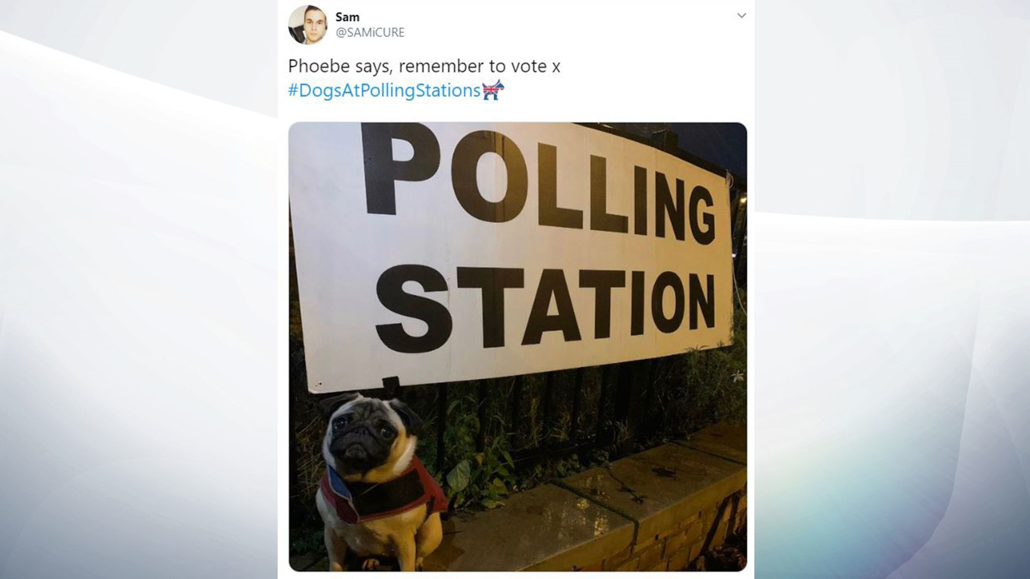 General Election gets paw-litical as voters snap their dogs at the ...