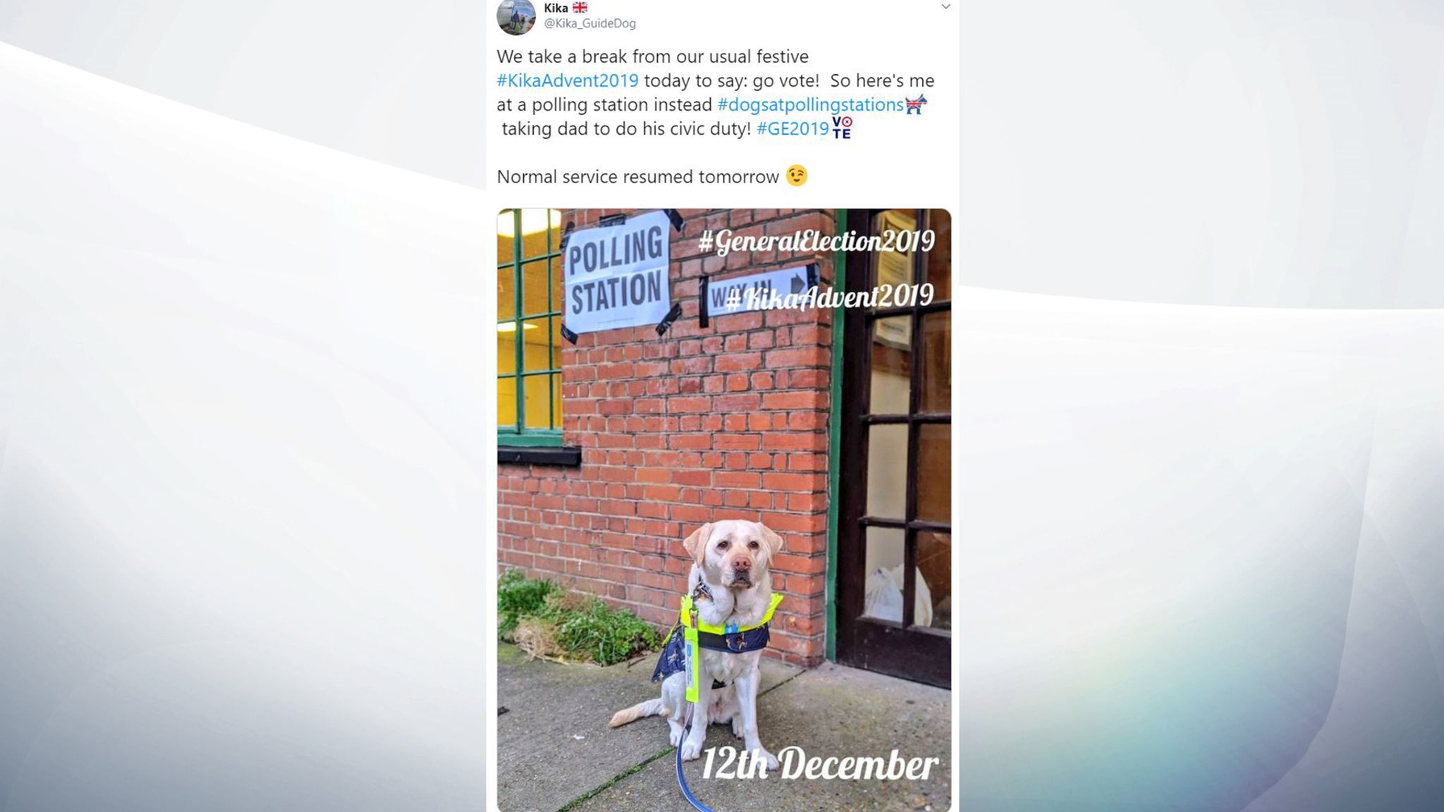 General Election gets paw-litical as voters snap their dogs at the ...