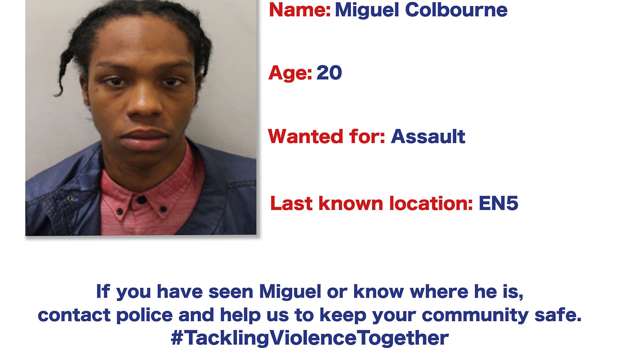 Wanted Wednesday: Police release images of suspects they are hunting ...