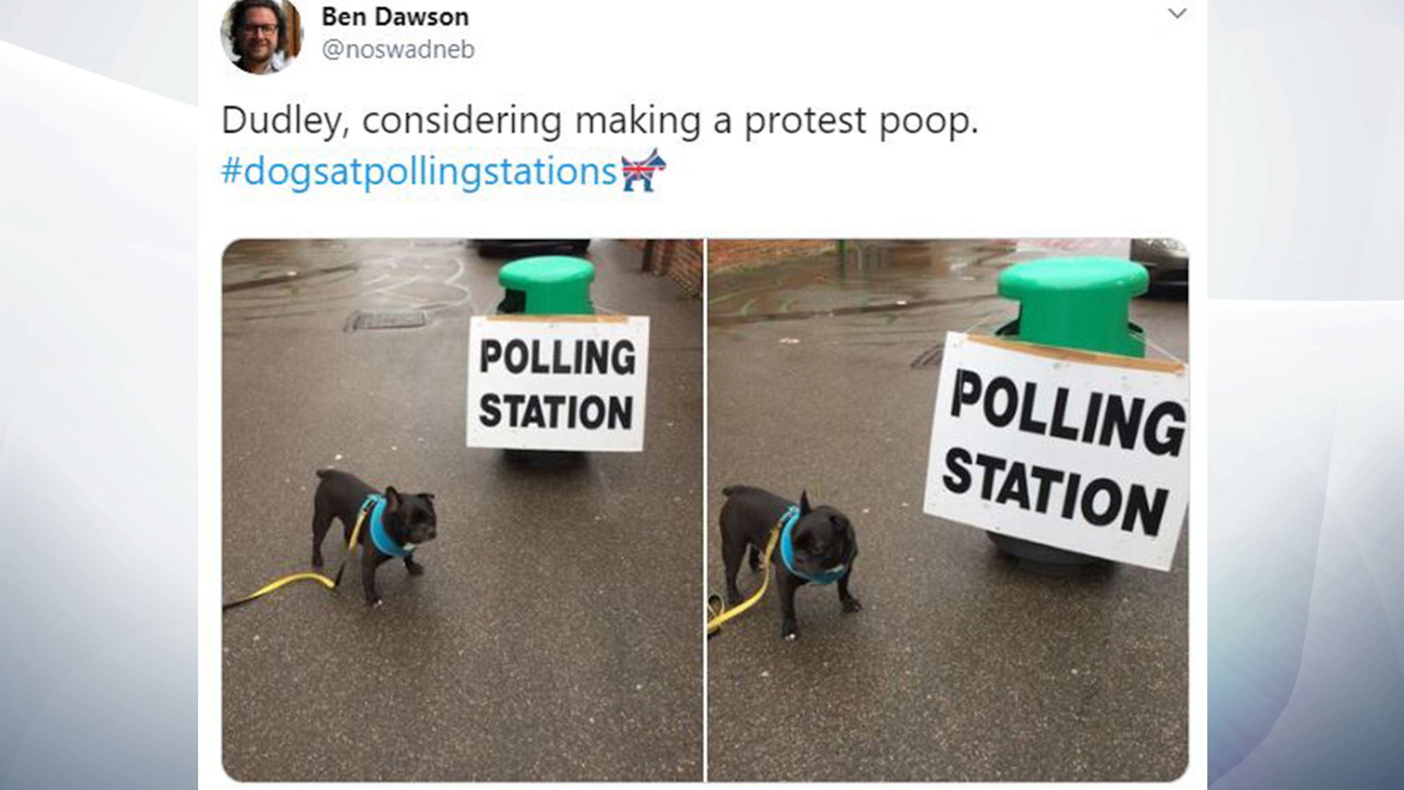 General Election gets paw-litical as voters snap their dogs at the ...
