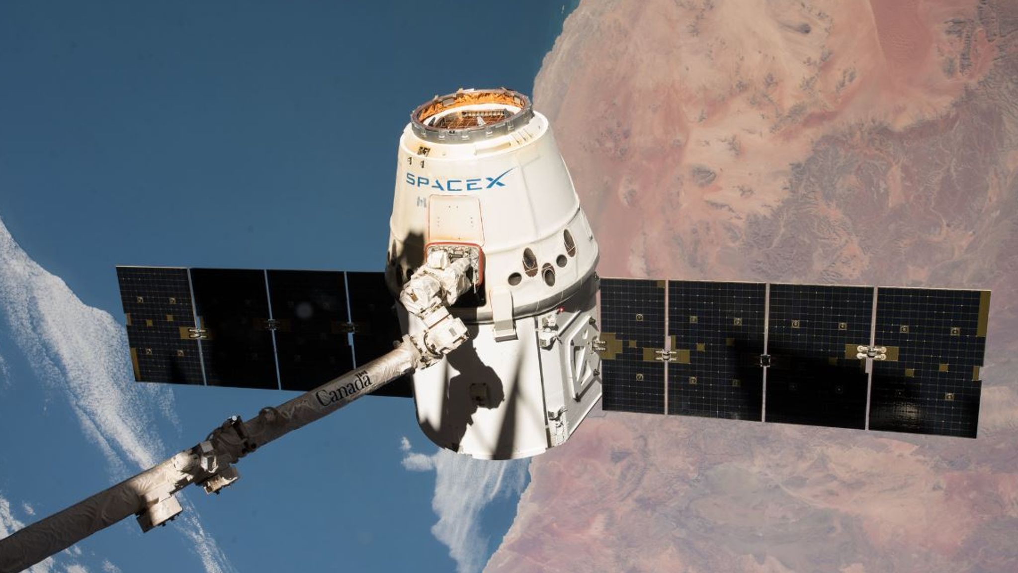 Muscular 'mighty mice' and sensitive robot delivered to International ...