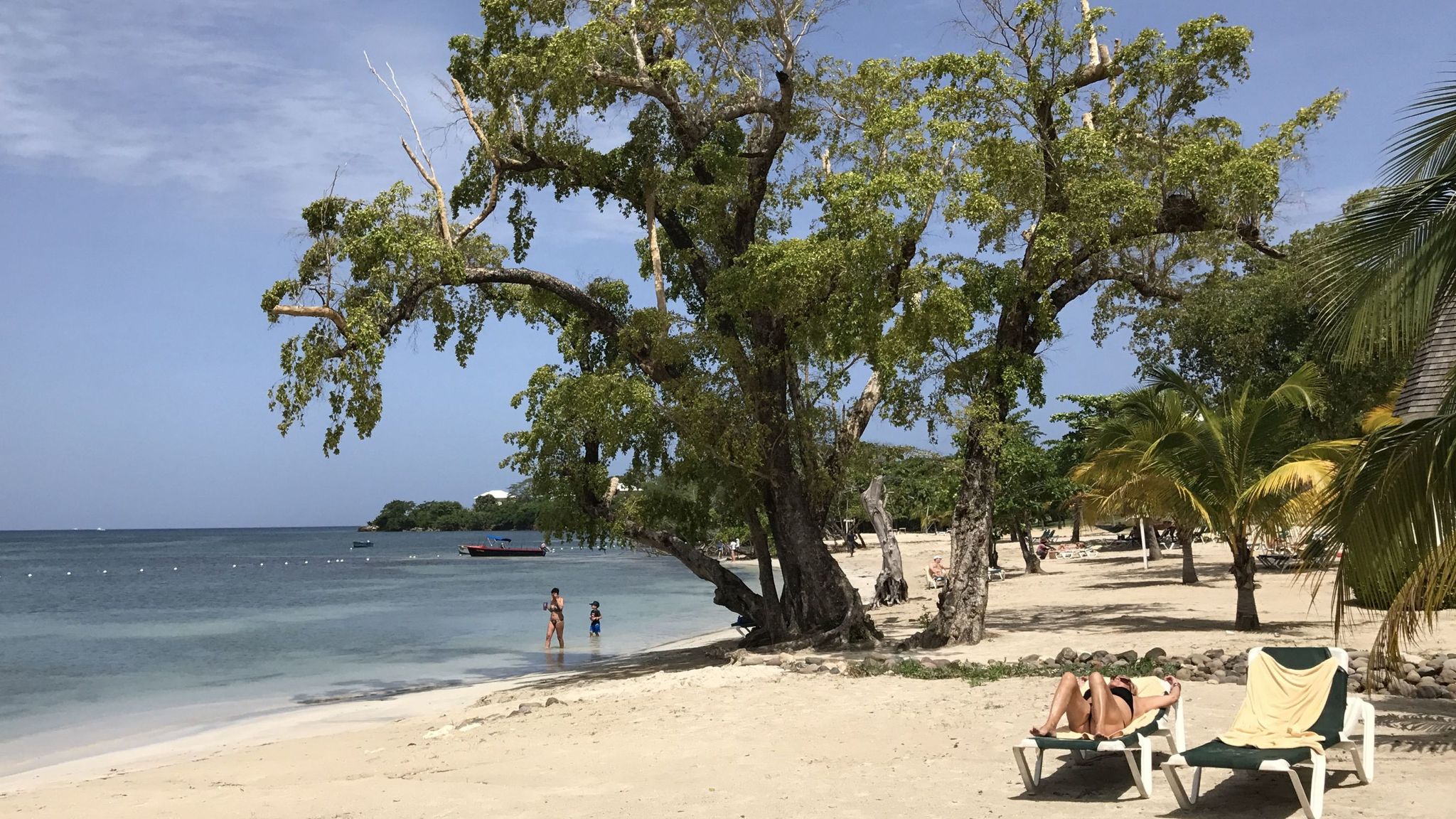 Deportation flight to Jamaica leaves with four criminals on board after ...