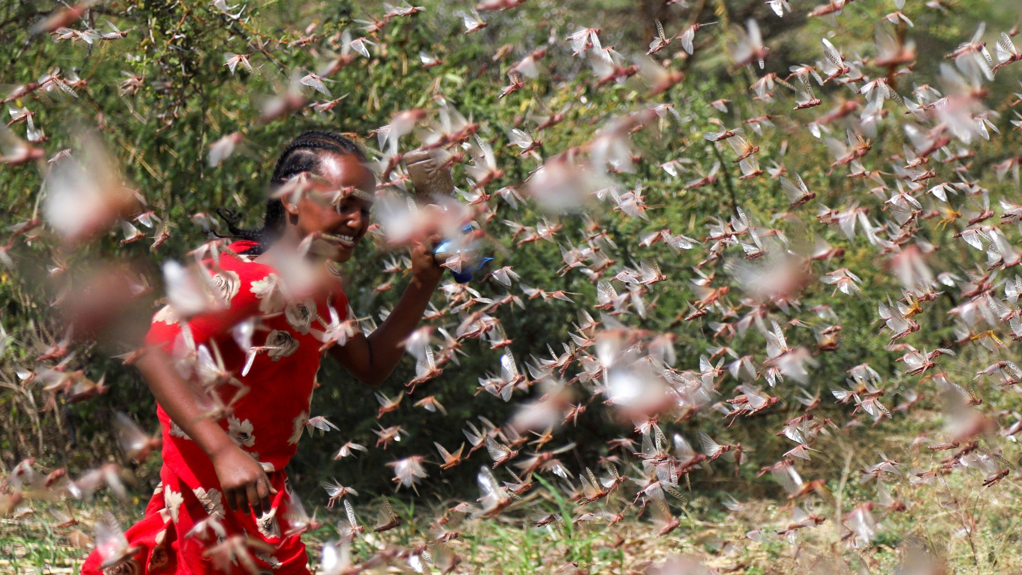 Locust swarms: UN says 13 million people in East Africa could face food ...