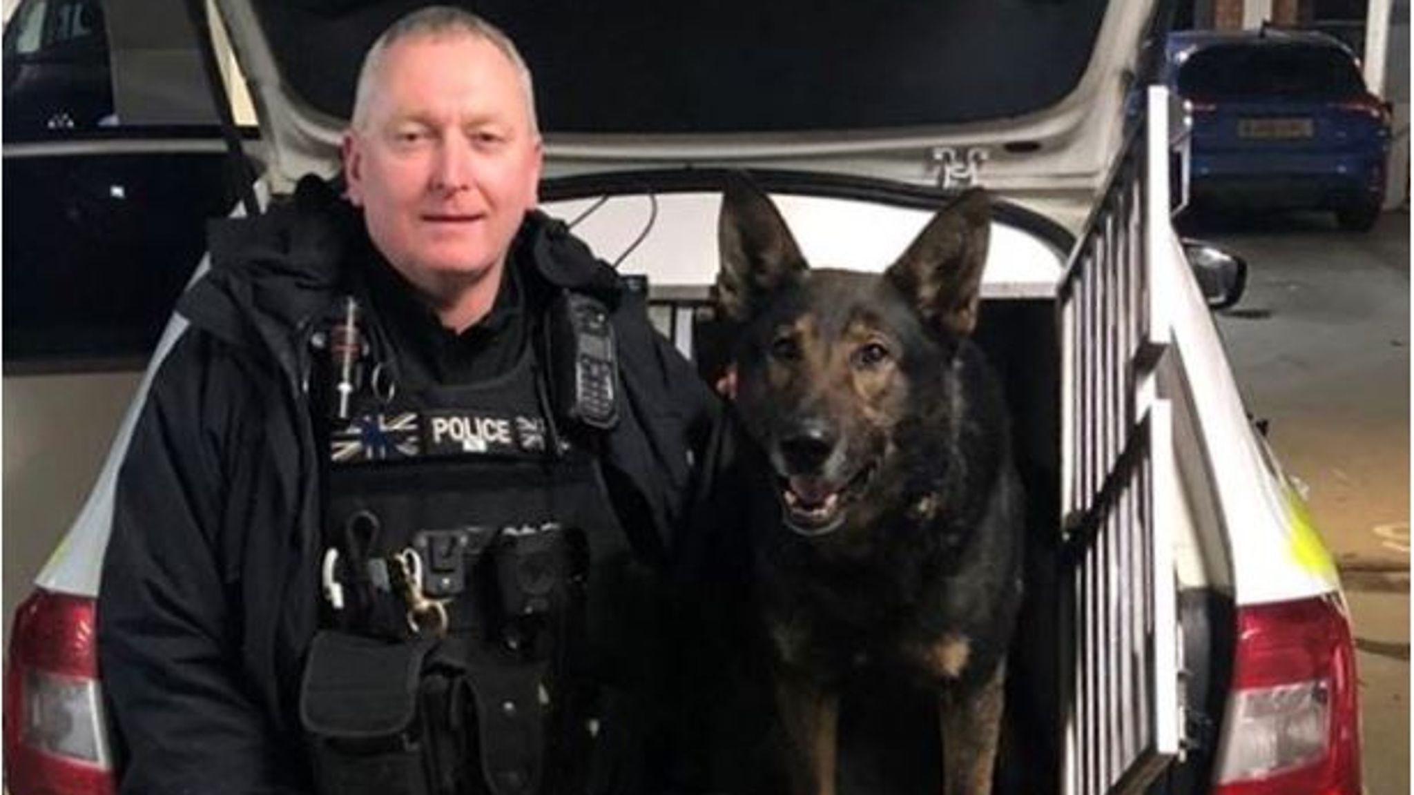 Police dog sniffs out wedding ring thrown away after marital row | UK ...