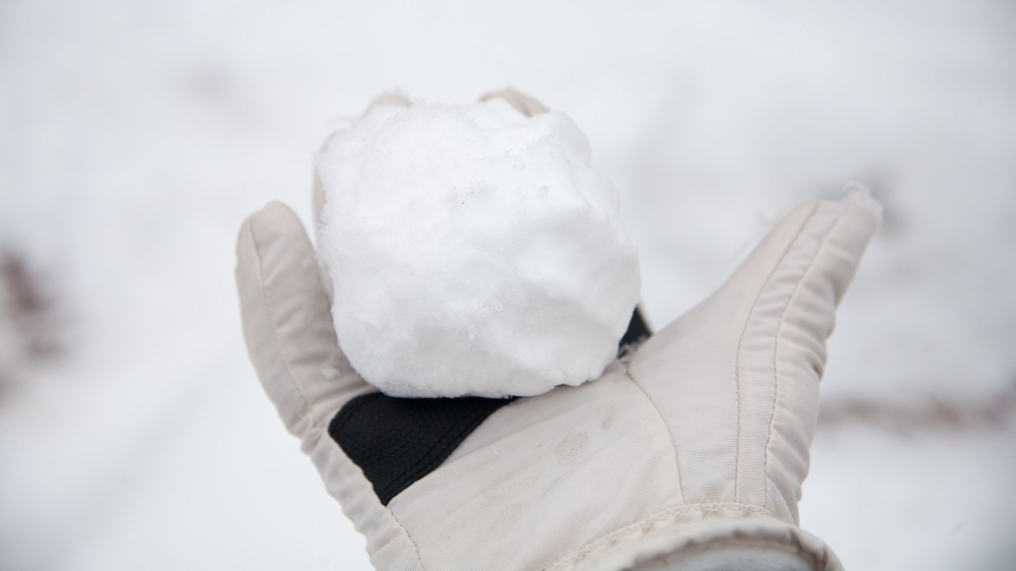 Two children shot by driver after throwing snowballs at cars | US News ...