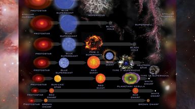 'Vampire' star discovered gorging on brown dwarf companion | Science ...
