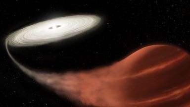 'Vampire' star discovered gorging on brown dwarf companion | Science ...