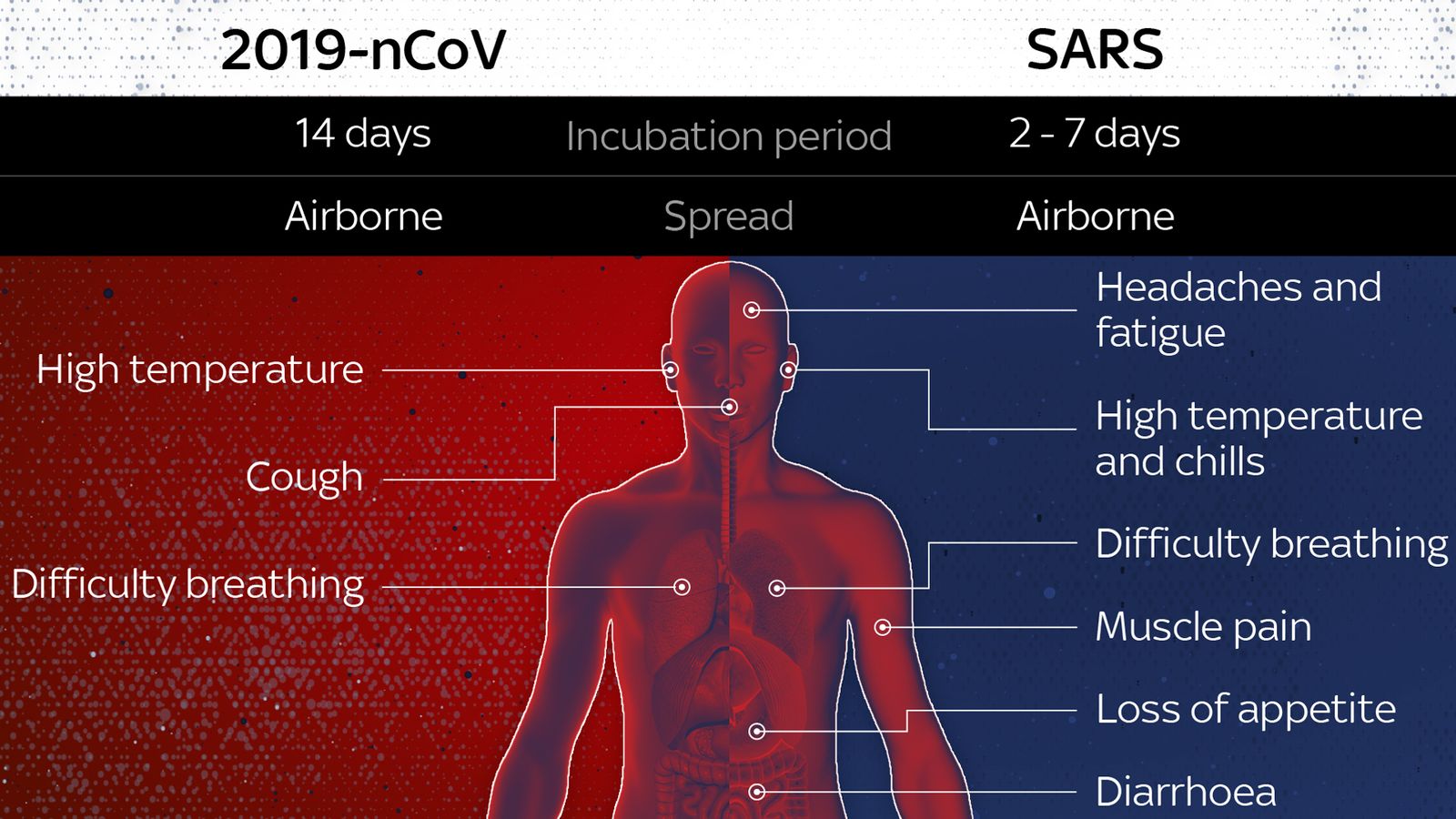 Coronavirus v SARS: How similar are the outbreaks? | World News | Sky News