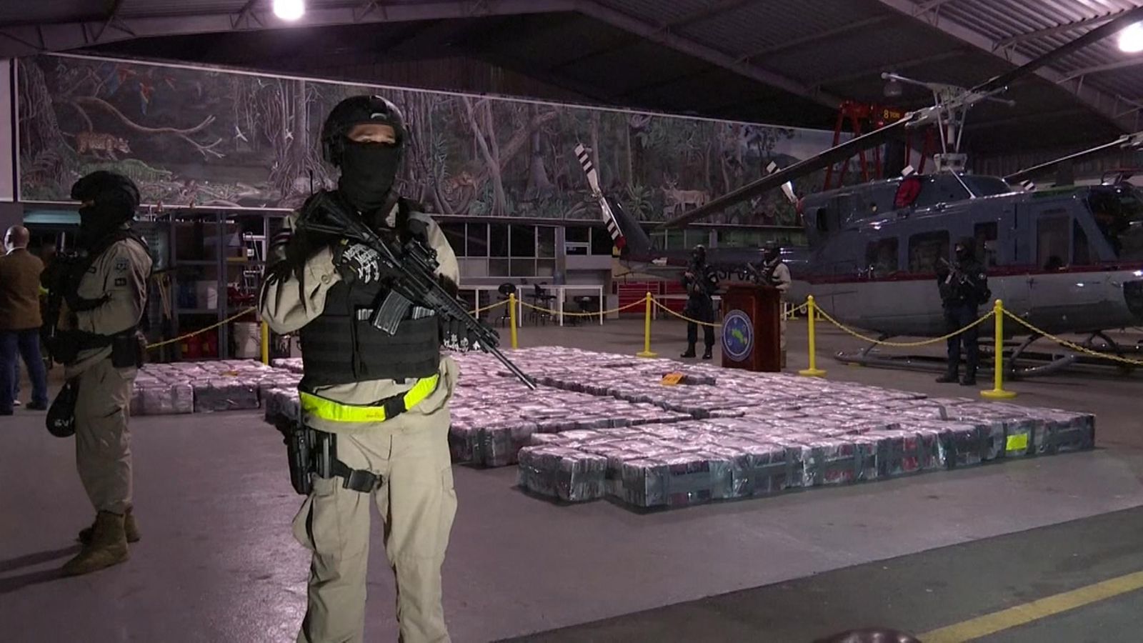Costa Rica's largest ever cocaine haul found in ornamental flower ...