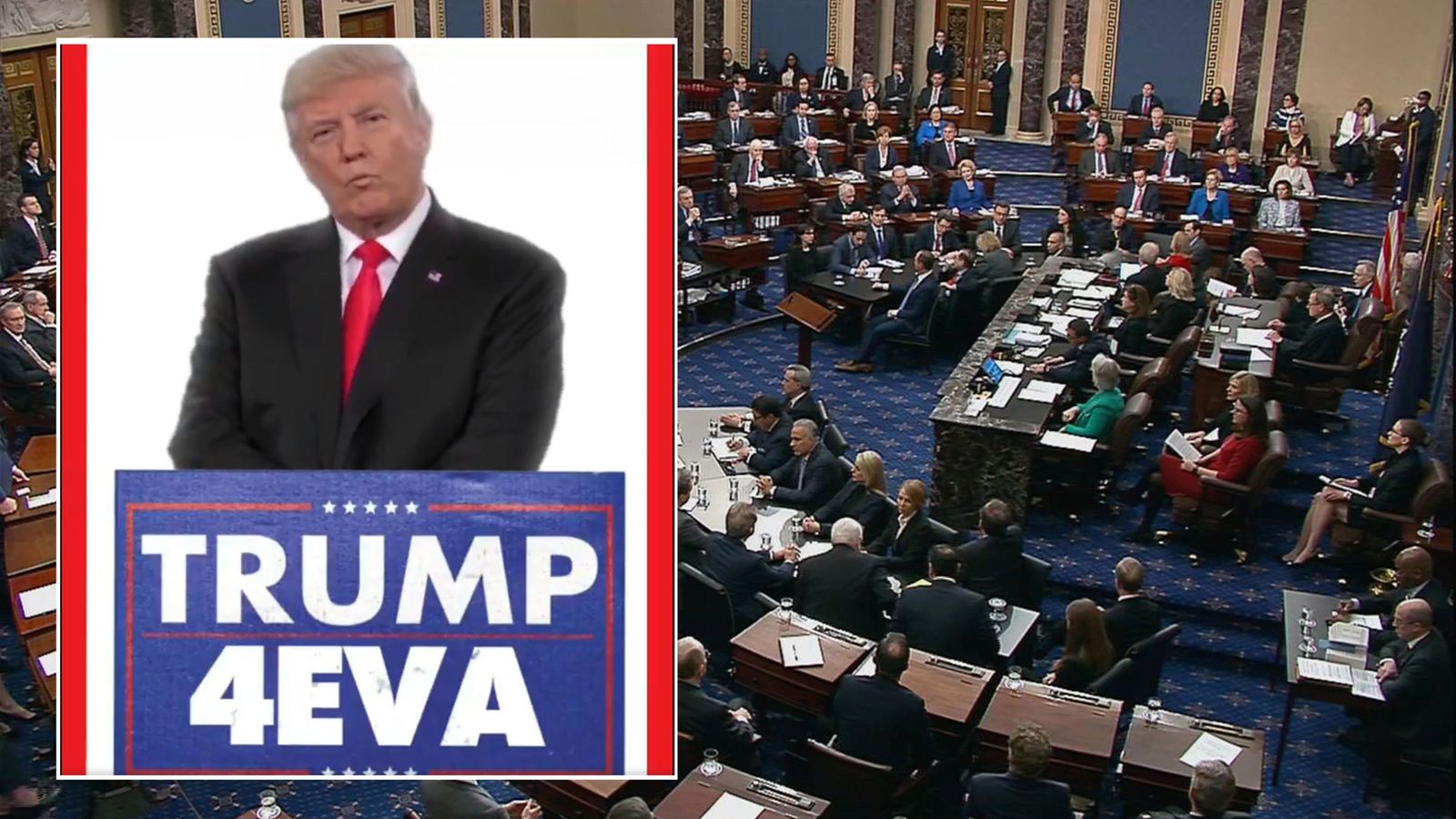 Trump survives impeachment: US president cleared of both charges | US ...