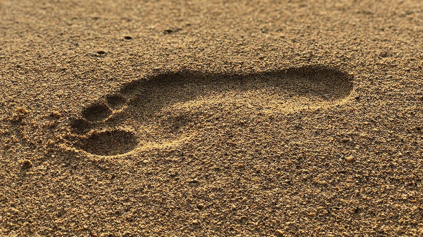 Human feet developed arches 3.5 million years ago - a 'key step' in ...