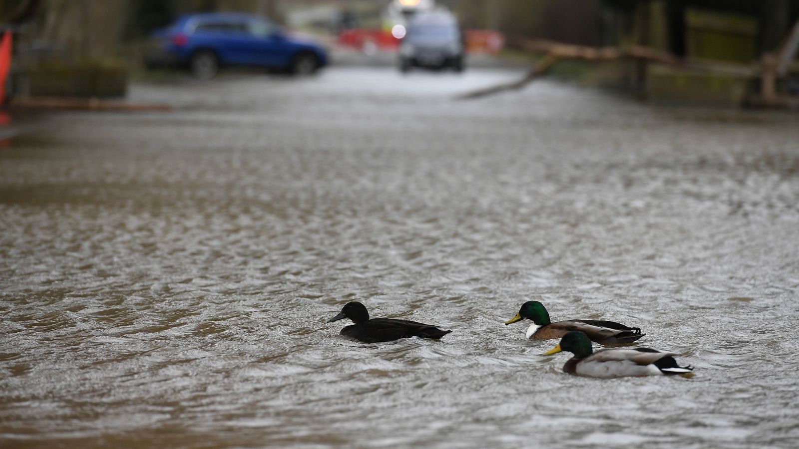 UK weather: 'Danger to life' flood warnings and more snow on the way | UK News | Sky News