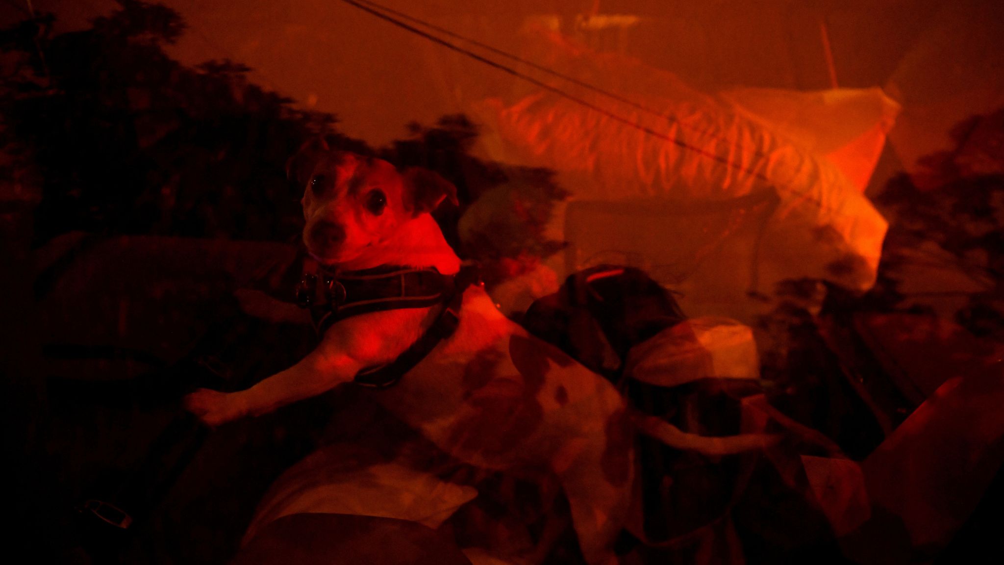 Rain brings floods but helps extinguish one of Australia's worst ...