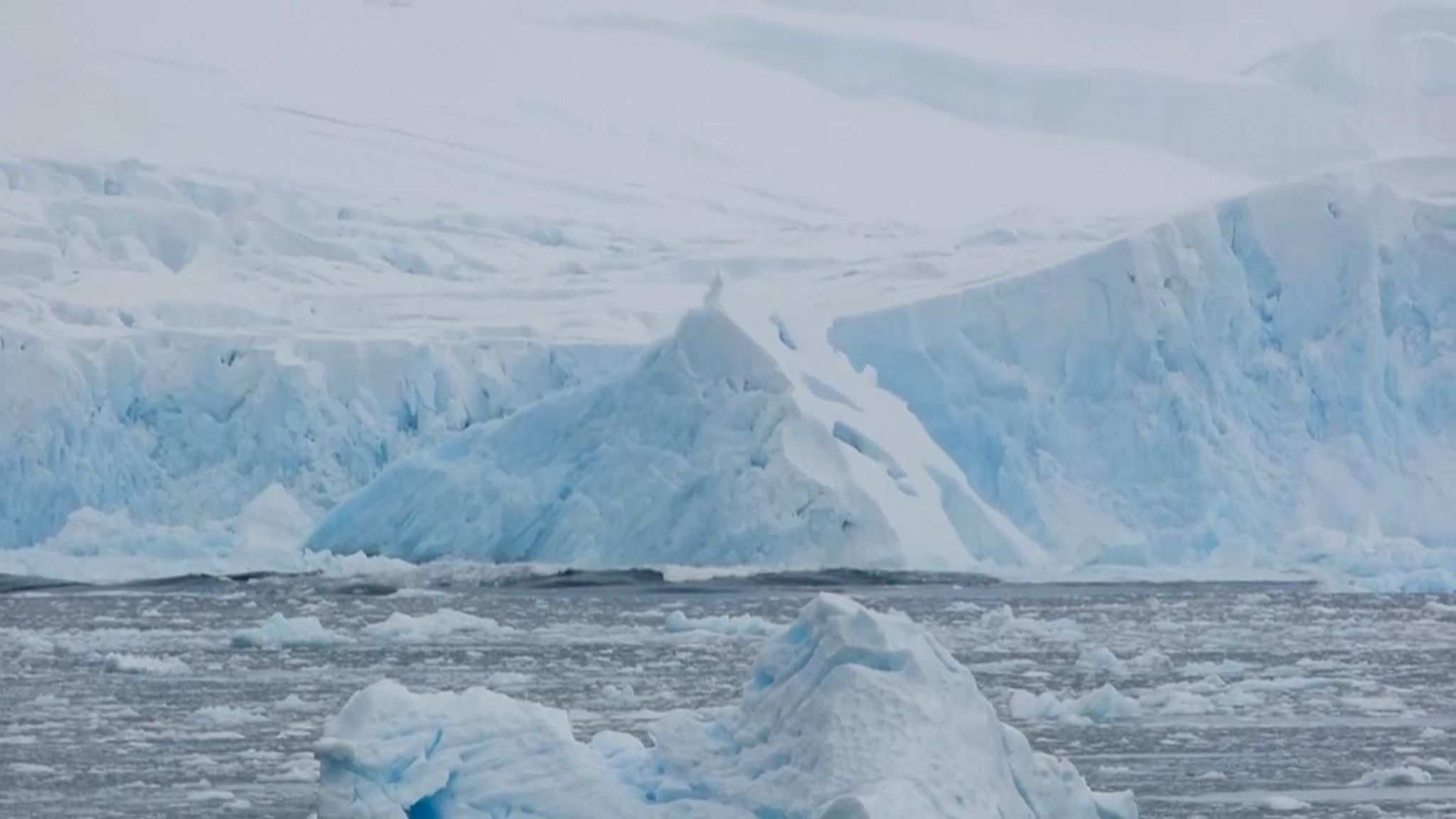 Footage captures moment 40m 'tower block' of ice splits from glacier ...