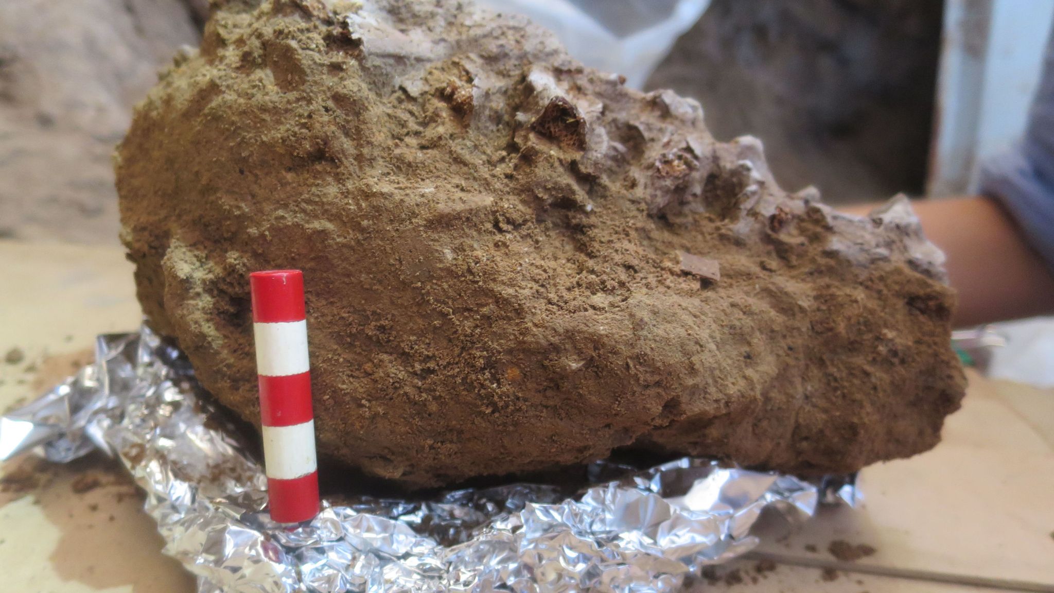 Neanderthal skeleton suggests species carried out funeral rites with ...