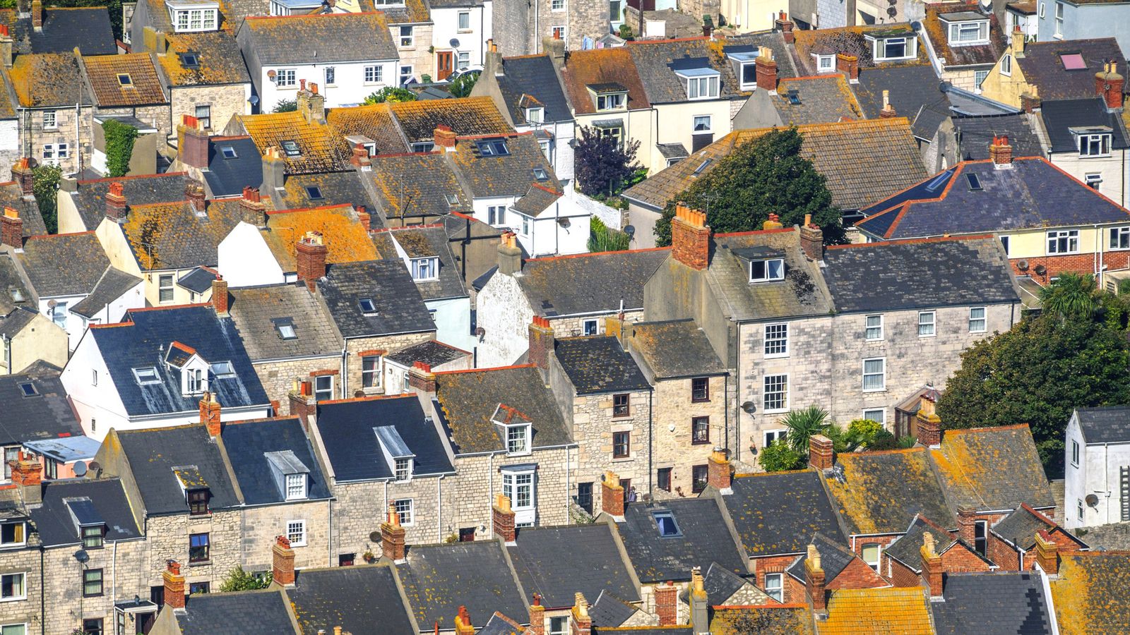 Coronavirus: Government 'looking at' isolating whole households amid ...