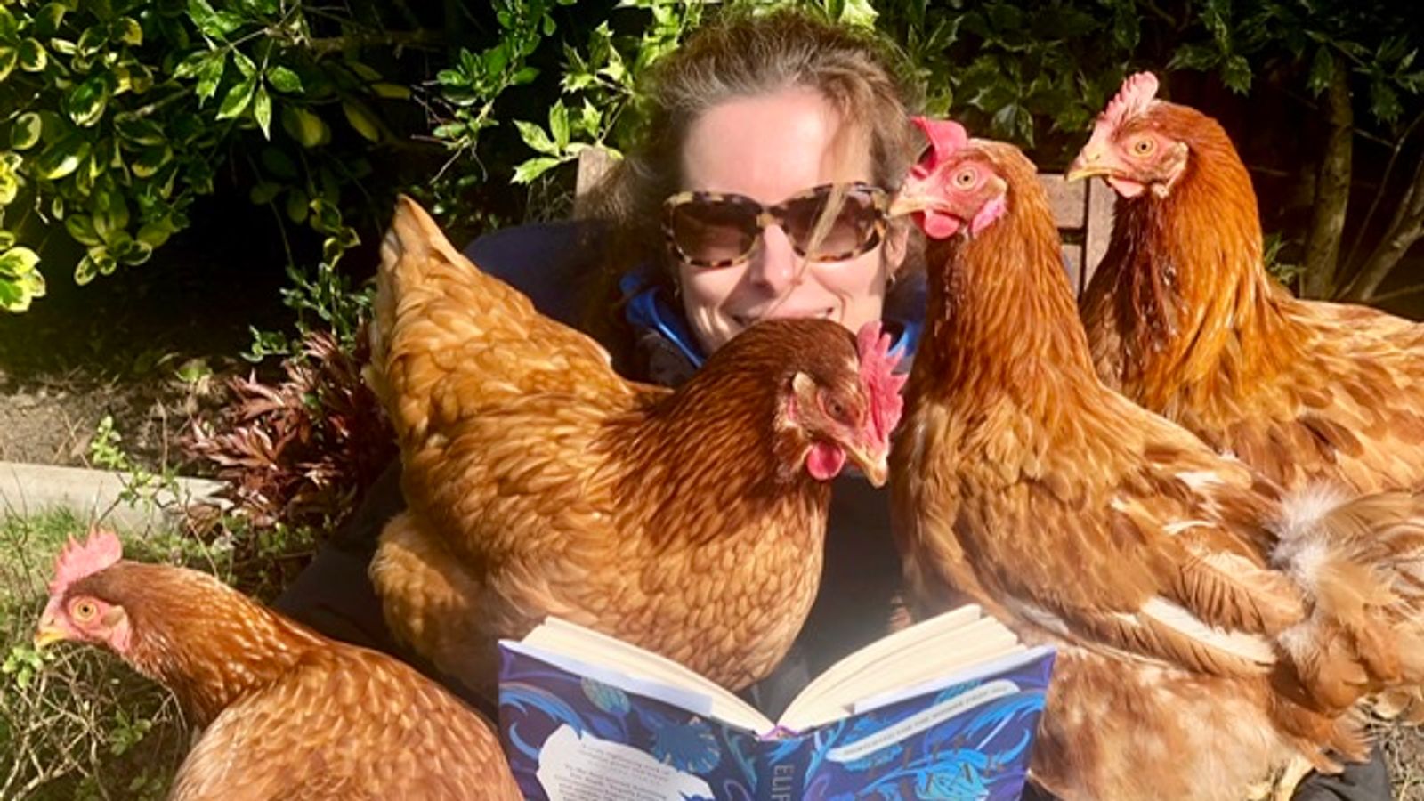 Coronavirus: Hen re-homing charity reports boom in demand amid lockdown ...