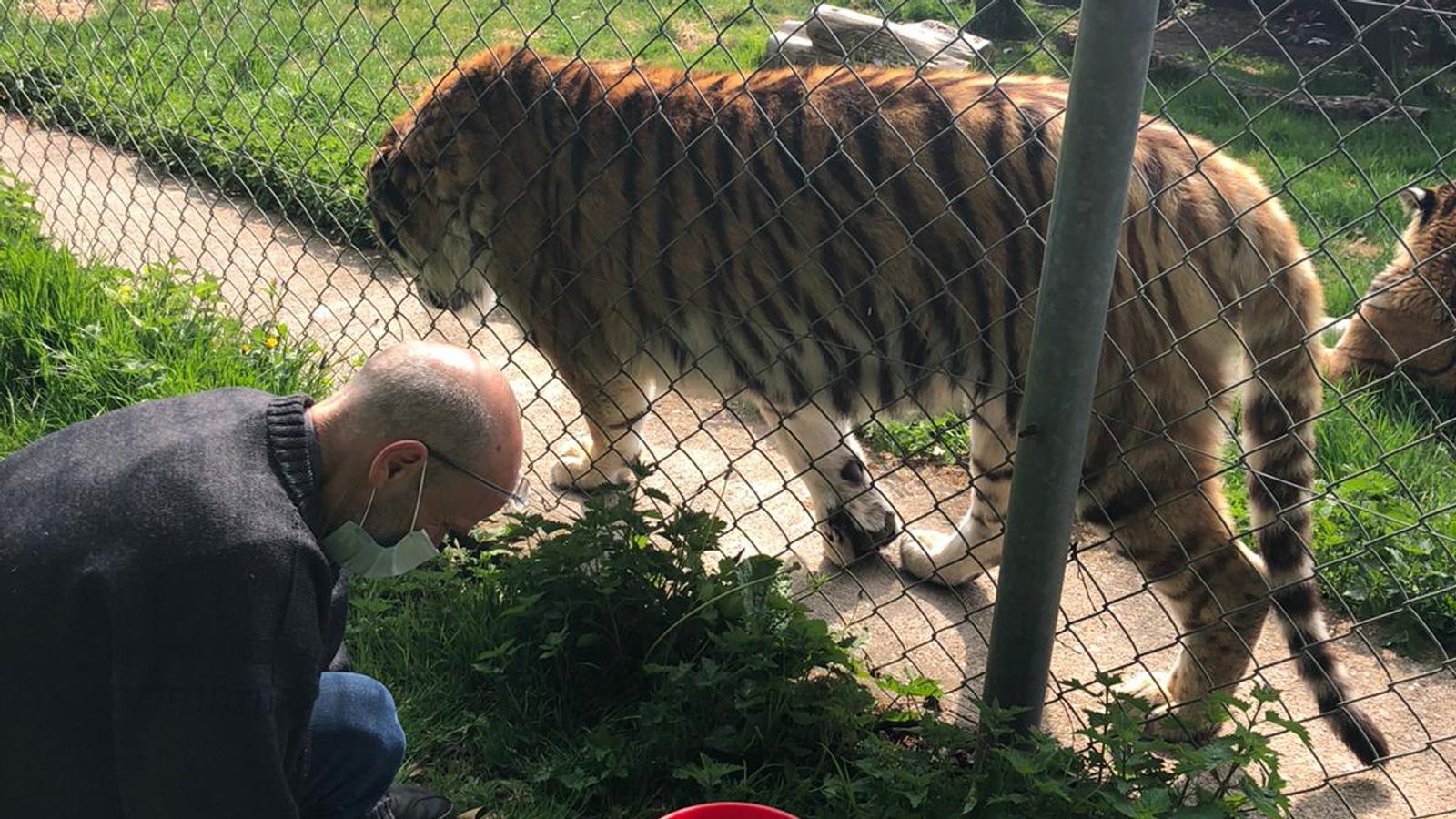 Coronavirus: Zoo running out of money to look after animals | UK News ...