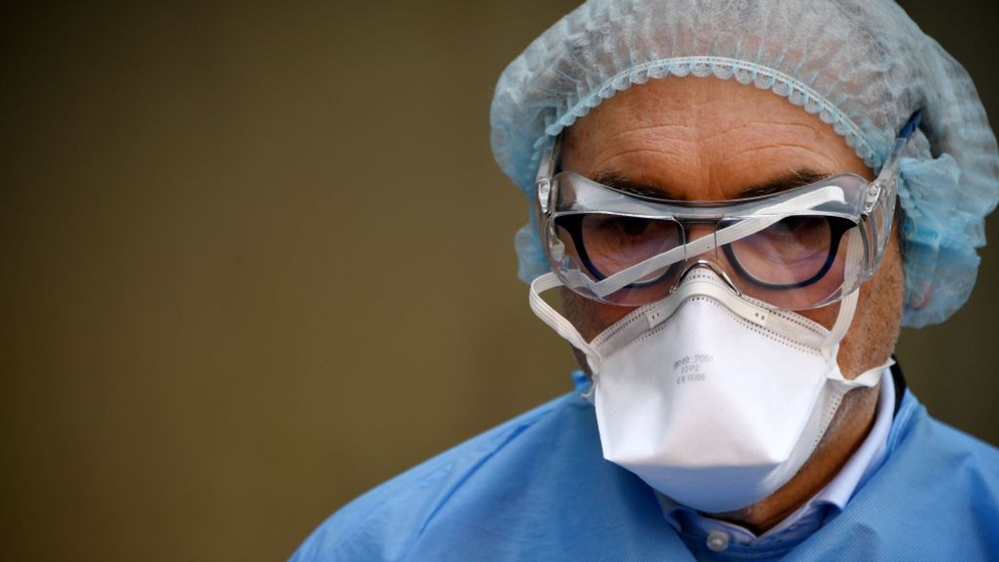 Coronavirus: Stray dogs eating bat meat may have started pandemic ...