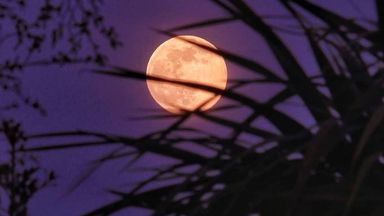 Super Flower Moon: How to spot the last supermoon of 2020 | UK News ...
