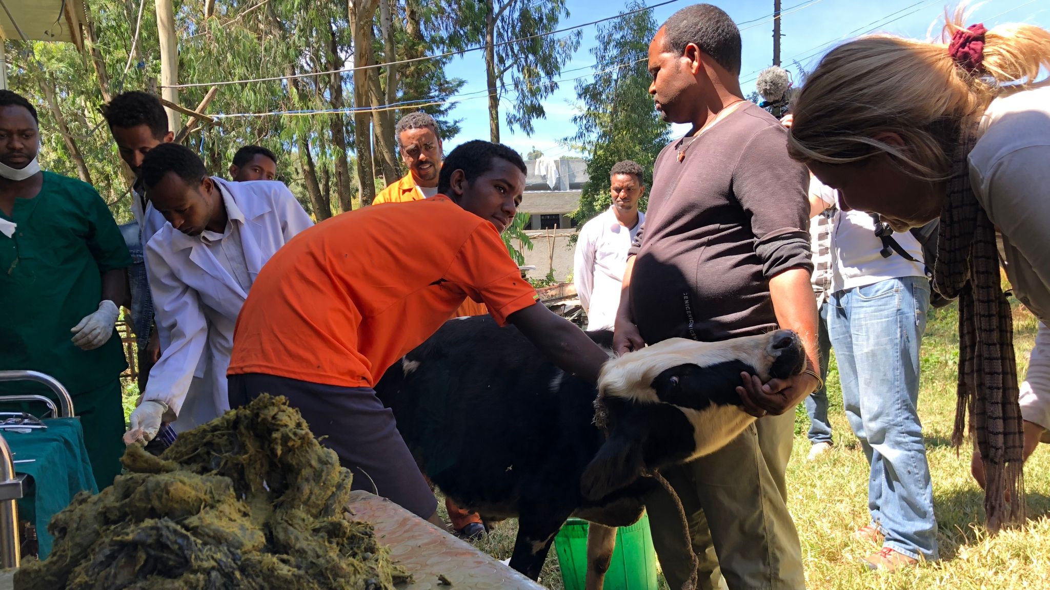 Plastic Nile: Pulling up plastic from world's longest river is horribly ...