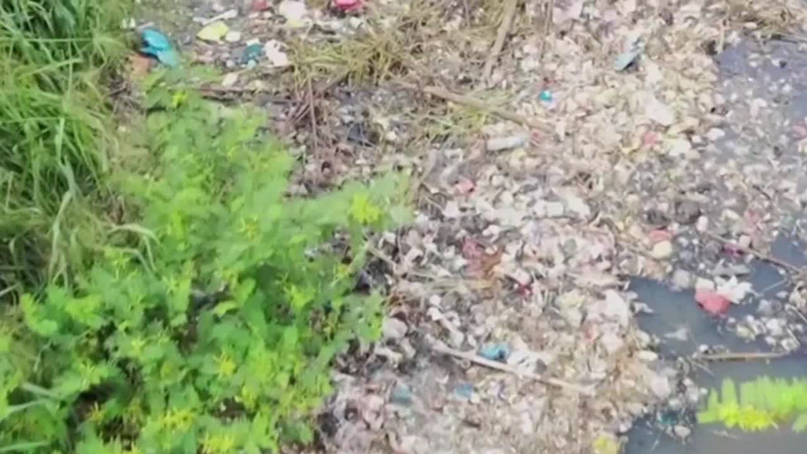 Indonesian activists clean clogged waterways | World News | Sky News