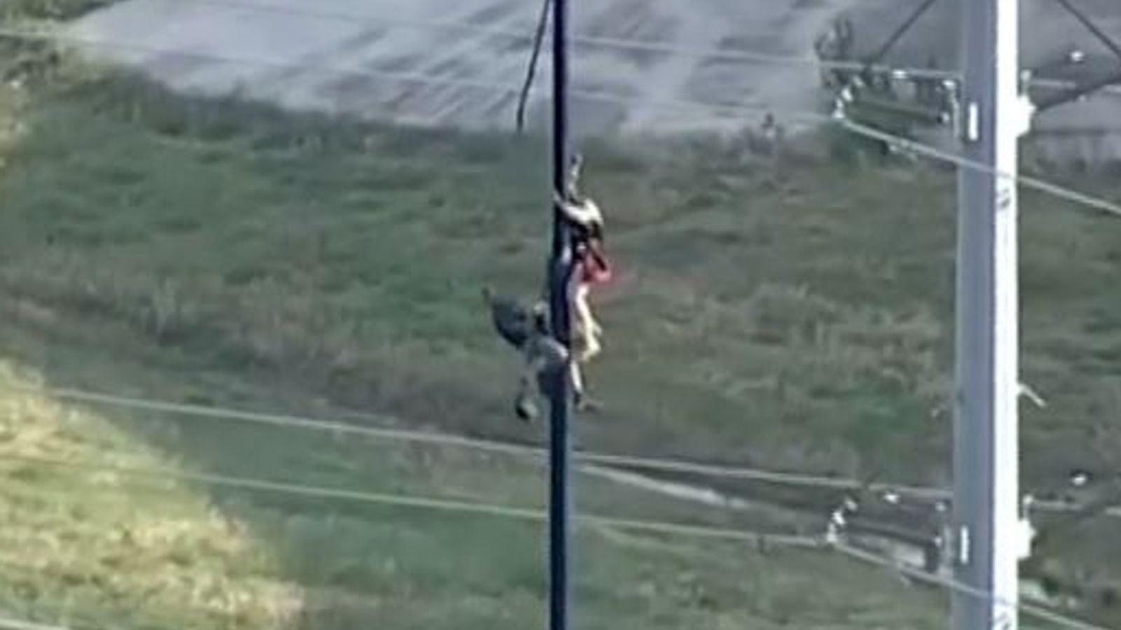 Man rescued after getting stuck up flagpole in Texas | US News | Sky News
