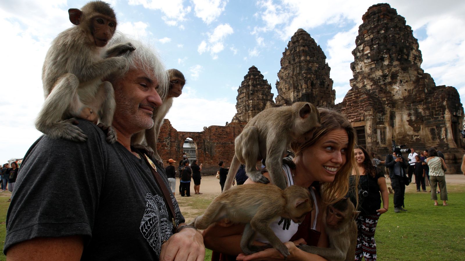 Coronavirus: Thailand sterilises 500 monkeys to protect locals because ...