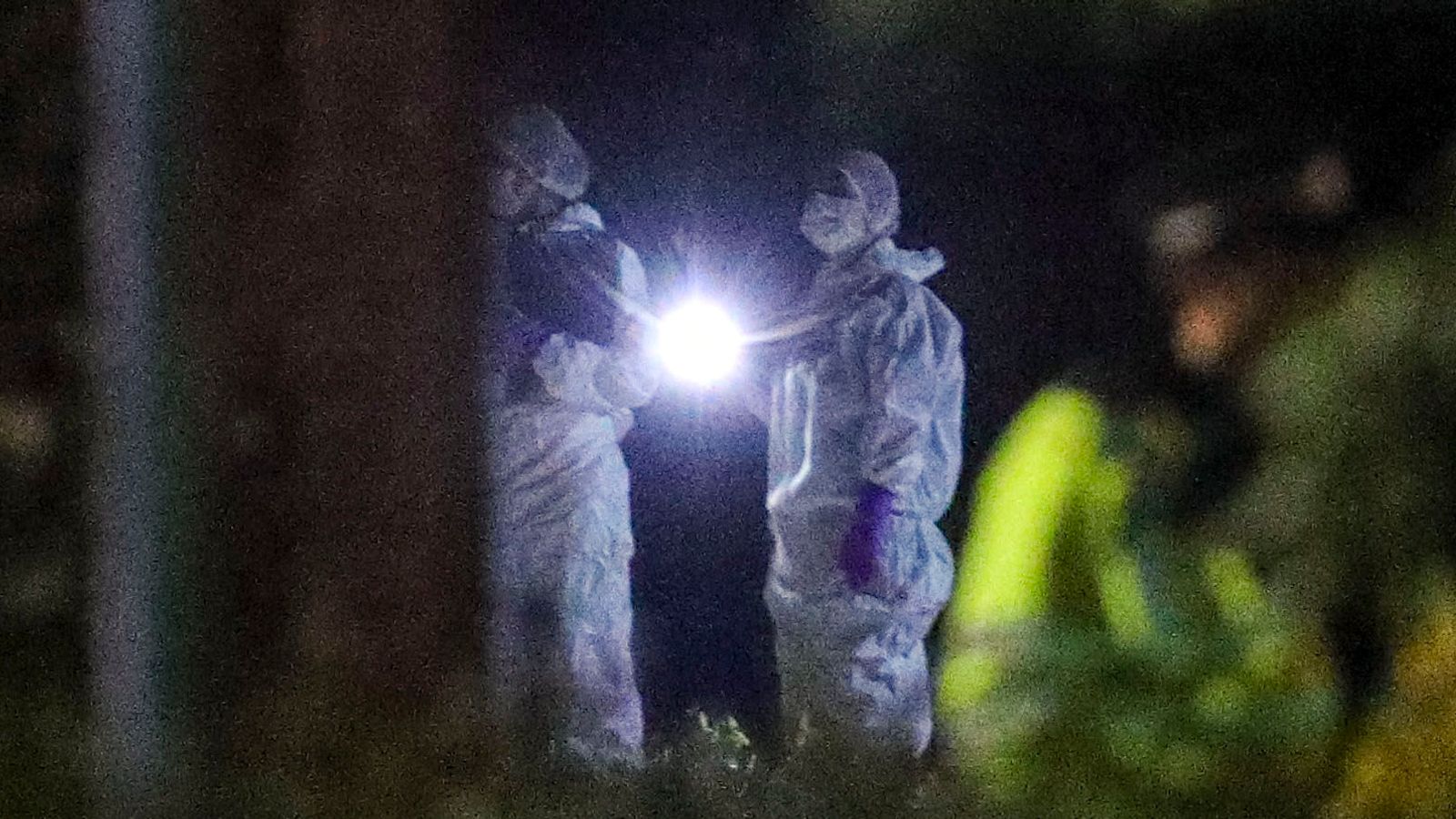 Reading stabbings: Forbury Gardens attack was terror incident - suspect ...