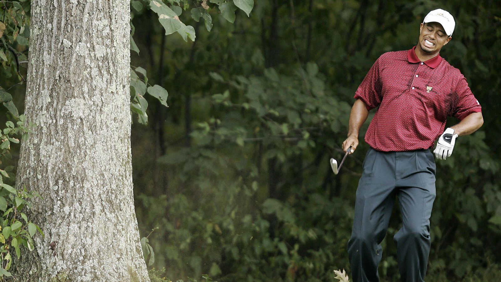 Tiger Woods: Back - unseen footage documents the rise, fall and ...
