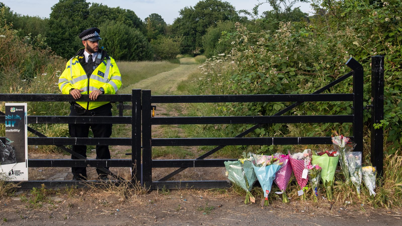 Wembley: Teen in court over 'unprovoked and random' killing of two ...