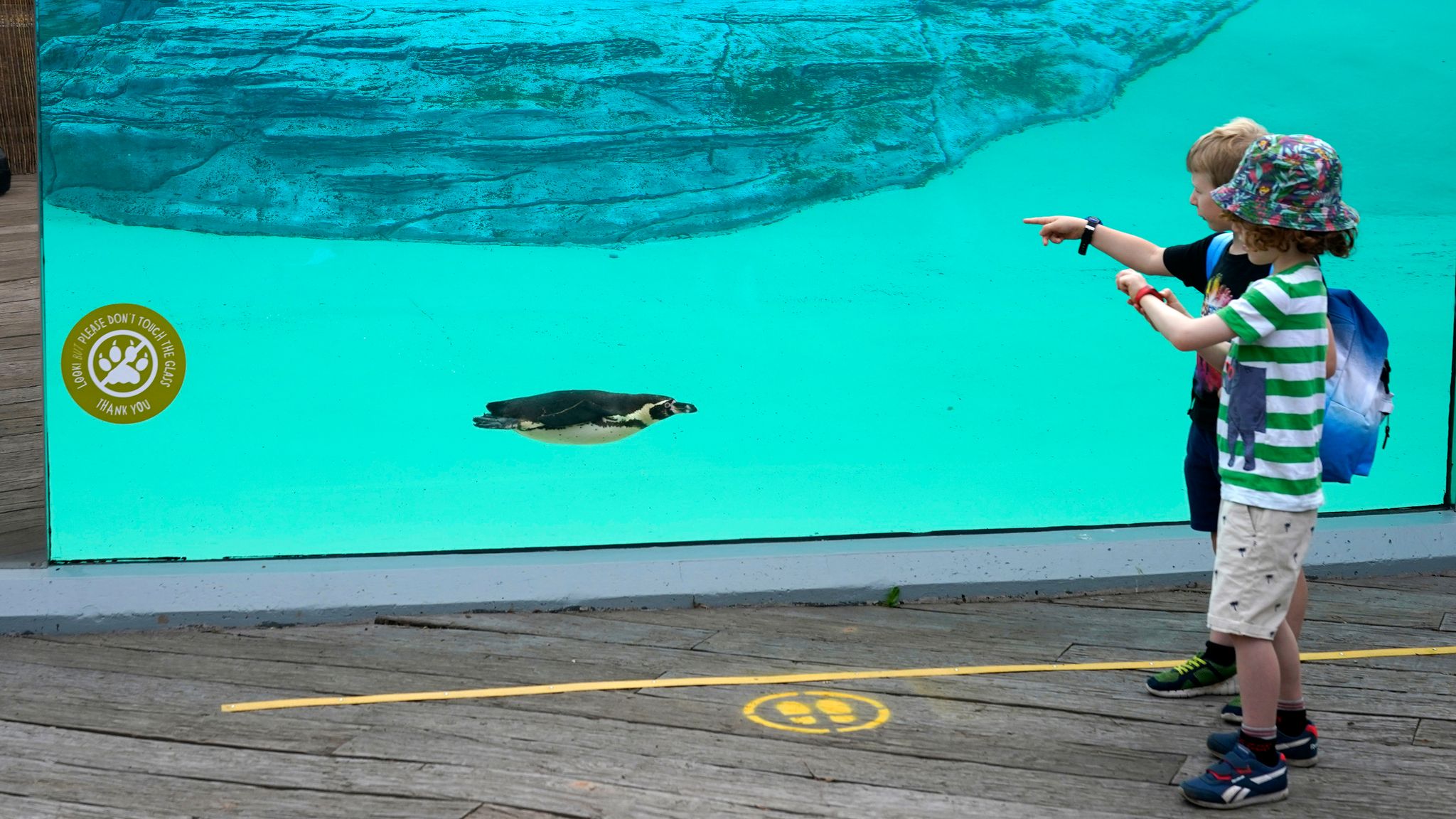 Coronavirus: Queues outside major shops and crowds flock to zoos as ...