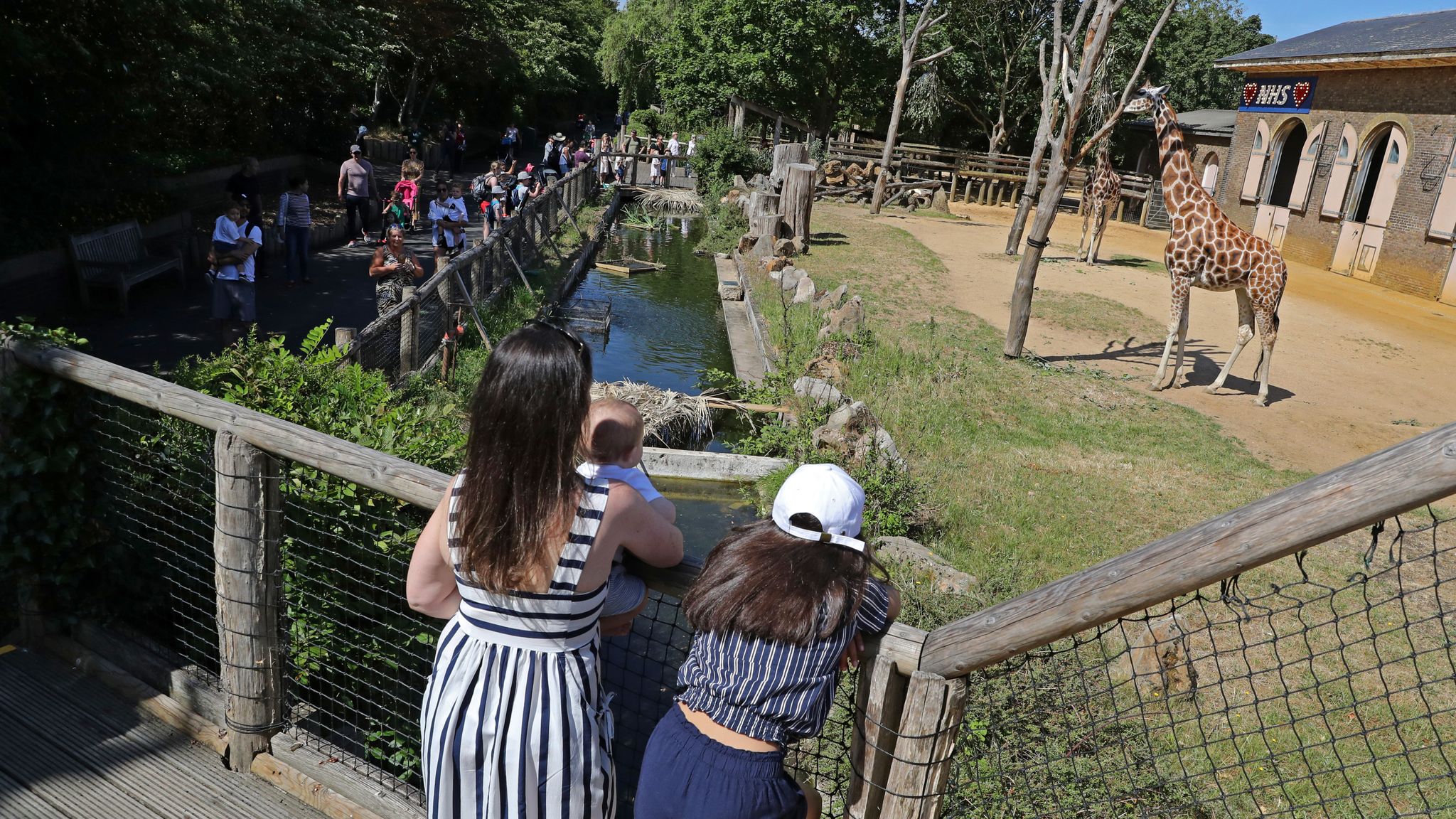 Coronavirus: Queues outside major shops and crowds flock to zoos as ...