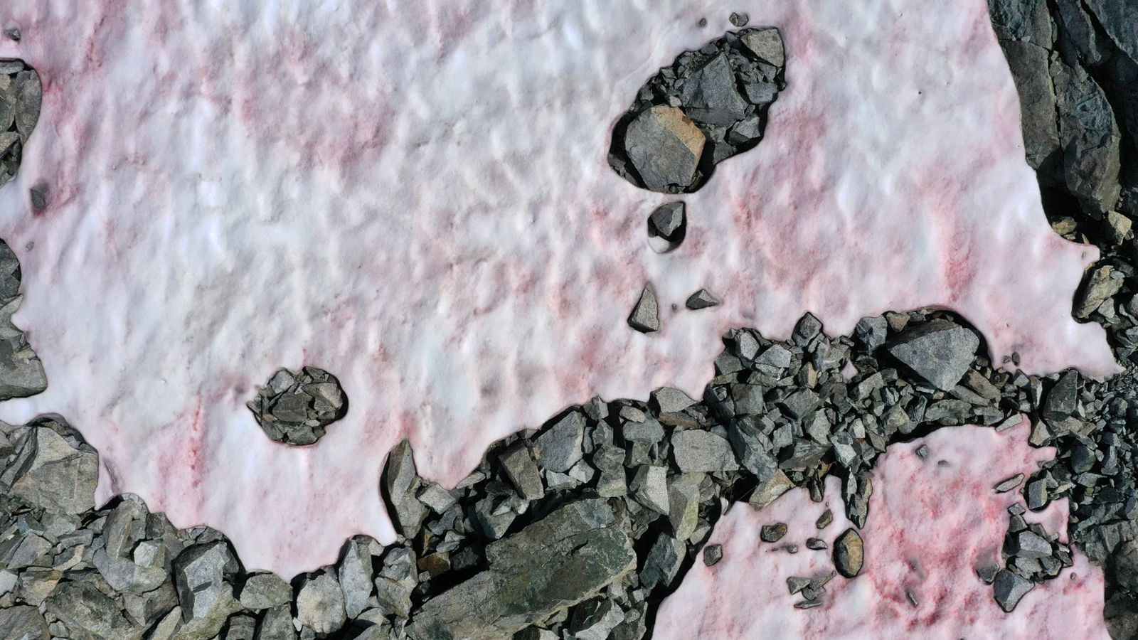Alpine glacier turning pink due to algae that accelerates climate ...