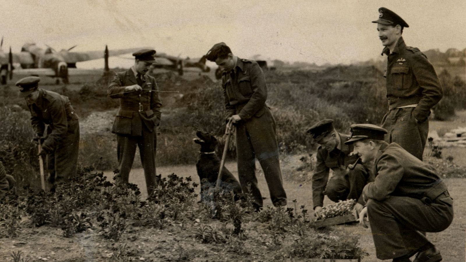 Dambusters dog's memorial replaced by RAF to remove its racist name ...