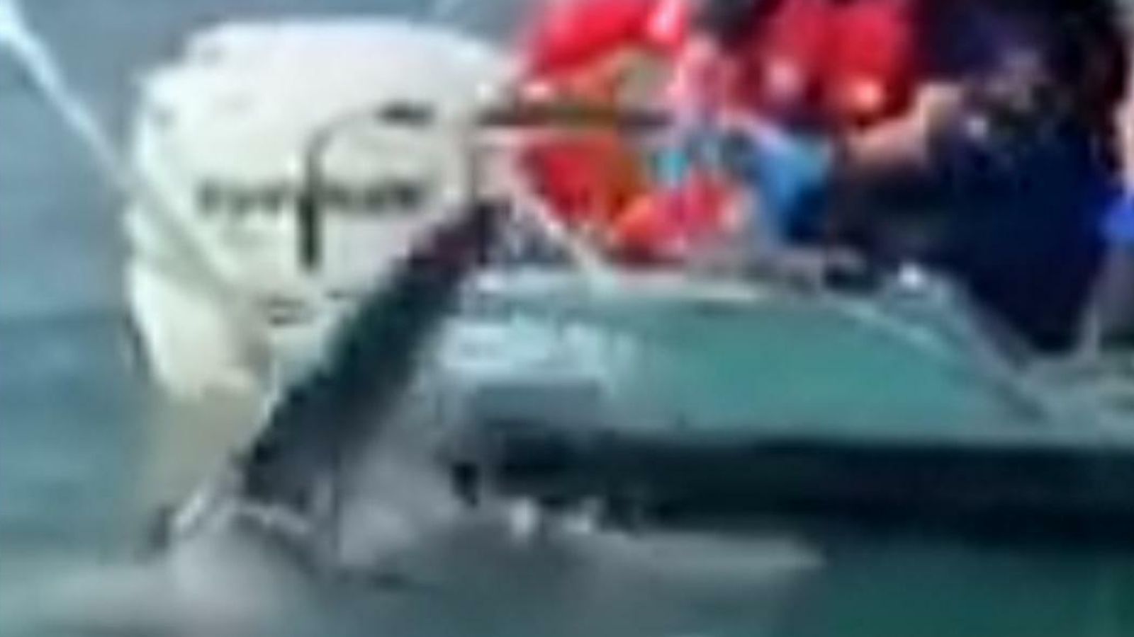 Leatherback turtle tangled in rope off Massachusetts freed by US coast ...