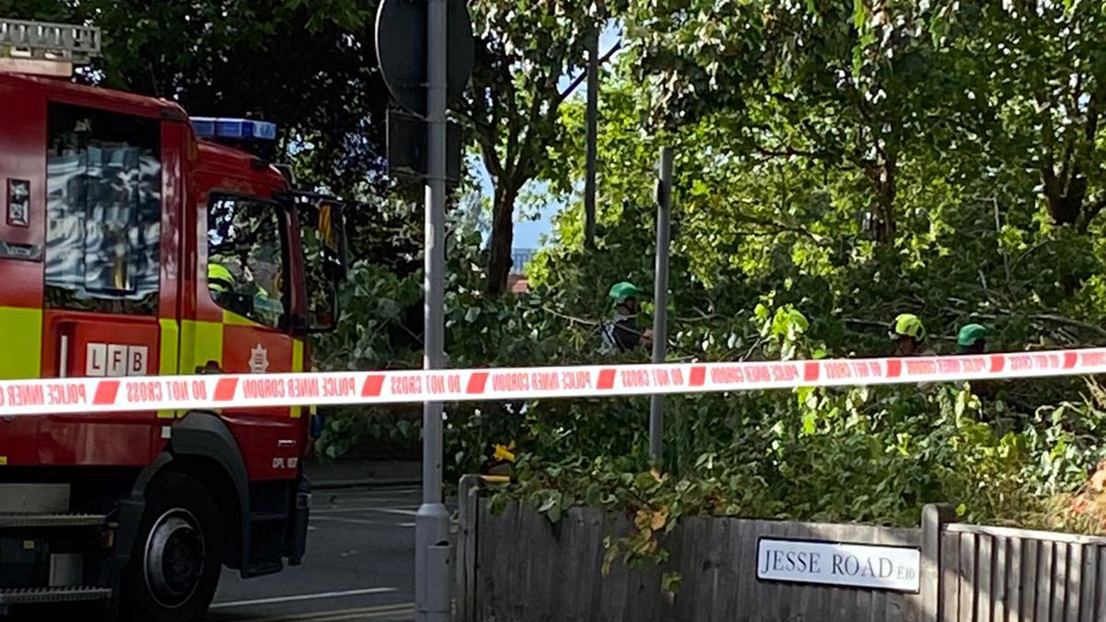 'Gruesome' injury as tree collapses on three people in east London | UK ...