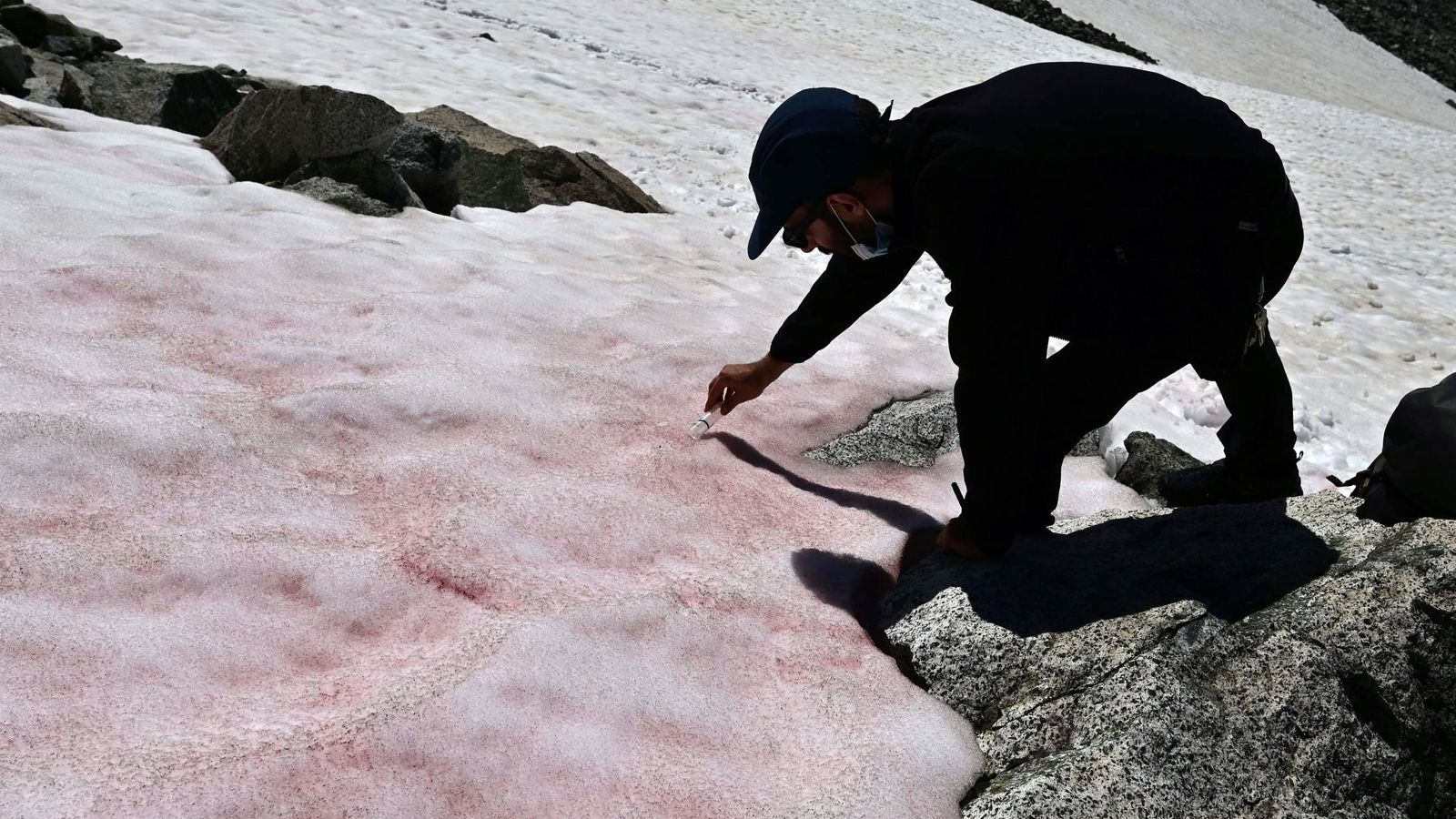 Alpine glacier turning pink due to algae that accelerates climate ...