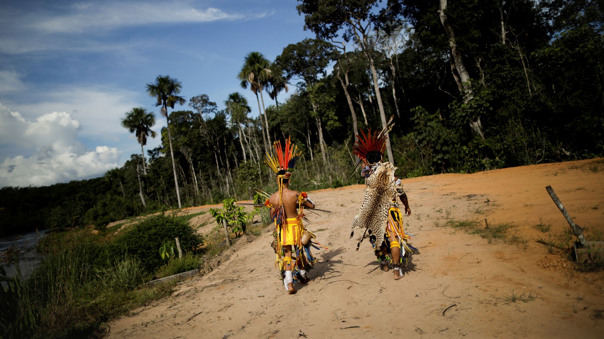 Four people a week die defending land from environmental threats ...