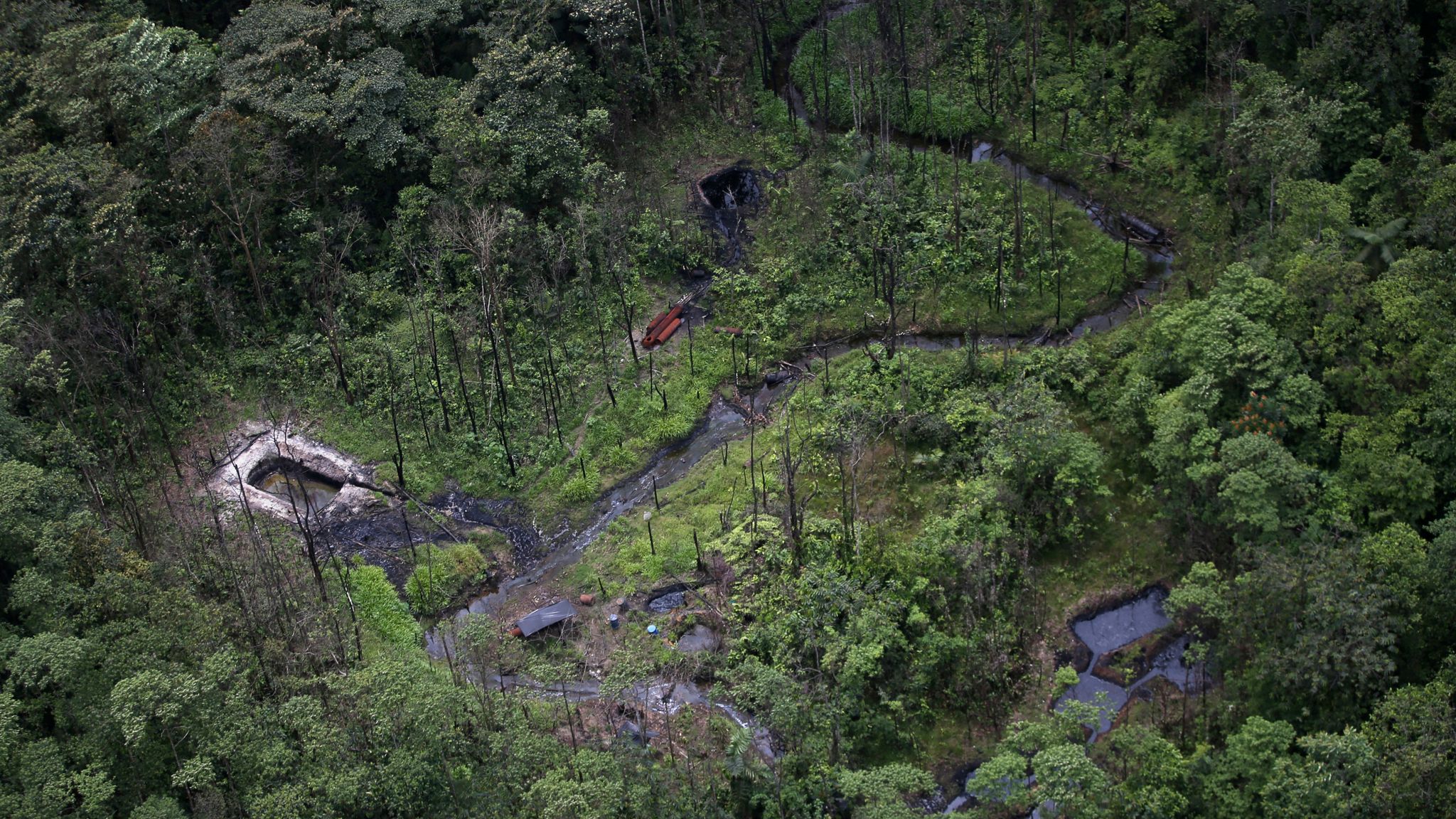 Four people a week die defending land from environmental threats ...