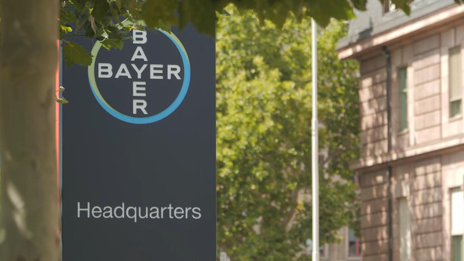 Primodos scandal: Theresa May says victims were patted on the head and ...